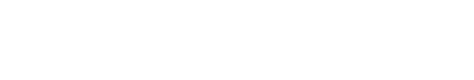 GEOSATIS Electronic Monitoring