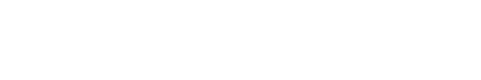 GEOSATIS Electronic Monitoring